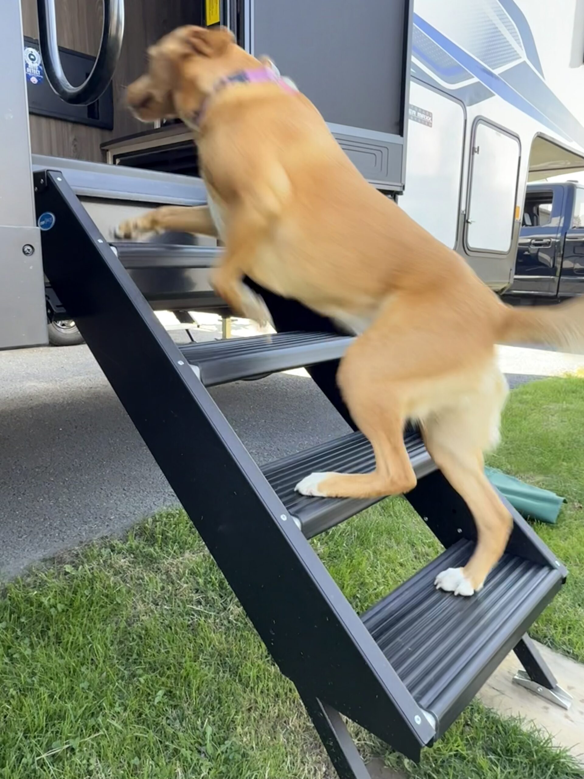 Pop Step - Ultimate RV Step Covers For Lippert and MorRyde RV Steps